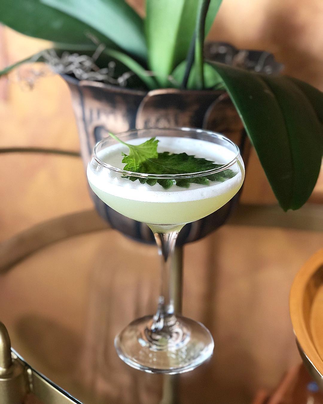 Q&A: Miami Food Scene with Stacy Moya - Haven Lifestyles