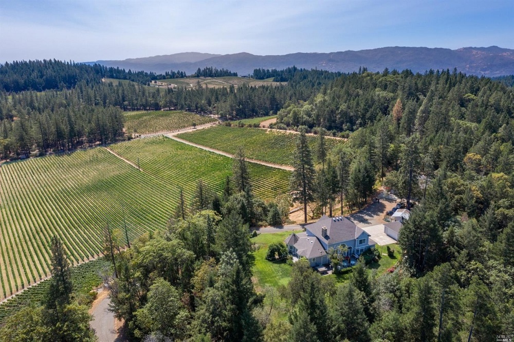 5 Homes On The Market With Stunning Vineyards - Haven Lifestyles