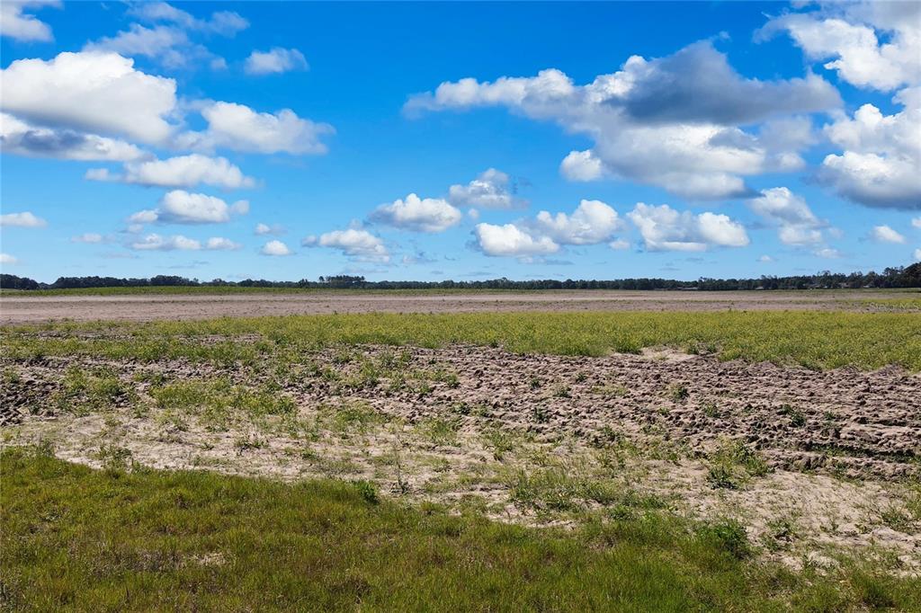 9 Wonderful Land Opportunities On The Market - Haven Lifestyles