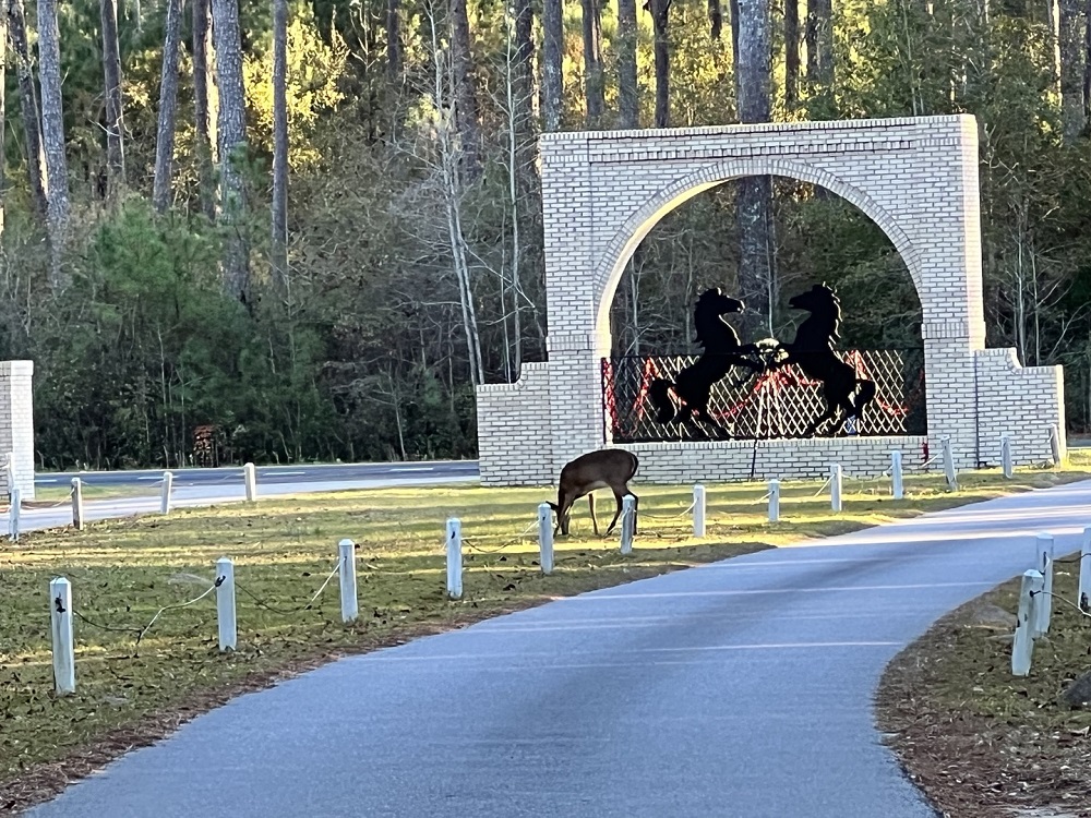 8 Stunning Waterfront Homes on the Market - Haven Lifestyles