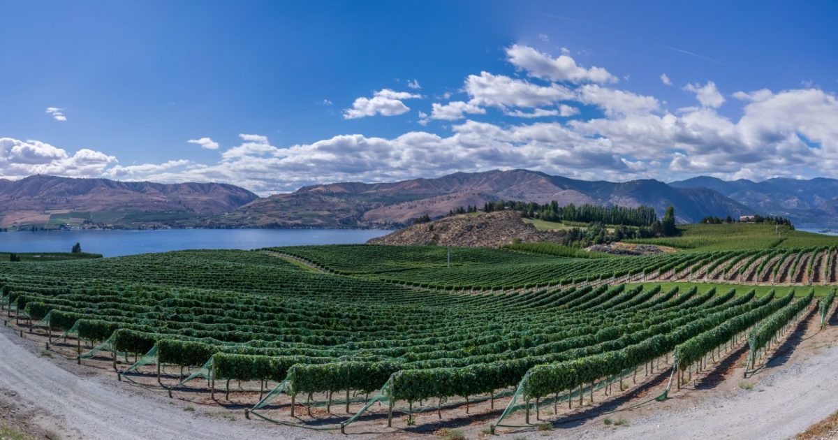 A Guide to the Washington State Wine Scene - Haven Lifestyles