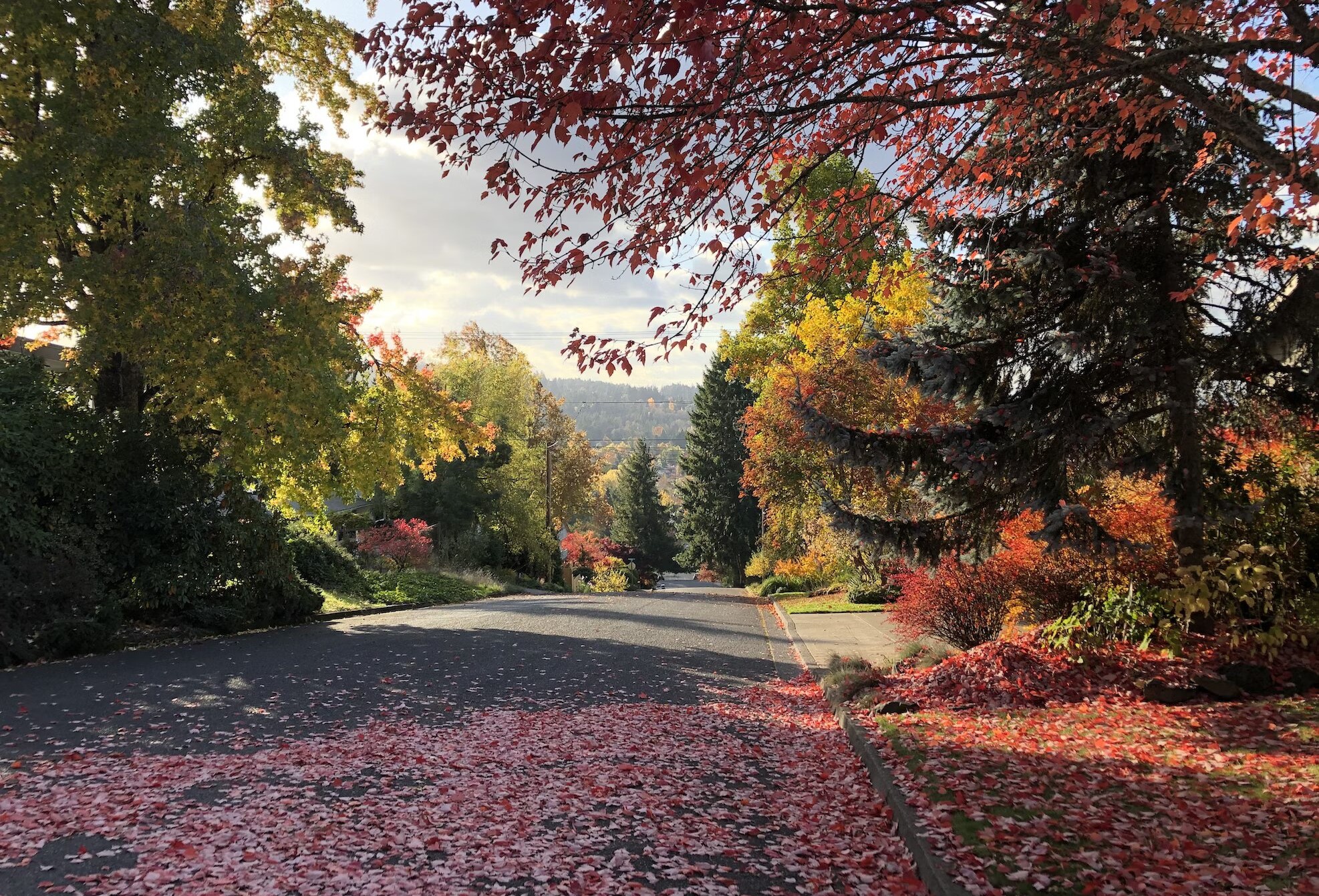 Fall Destinations in Oregon for a Dream Autumn Getaway - Haven Lifestyles